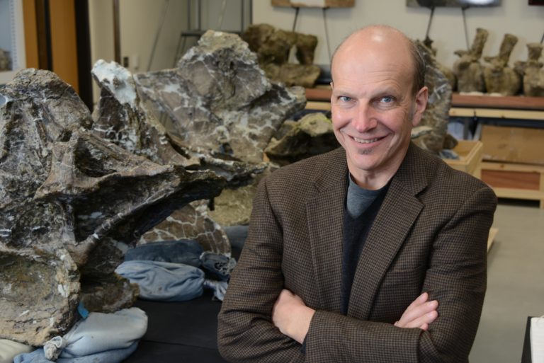 Dreadnoughtus: nova espécie de dinossauro gigante é descoberto com ...