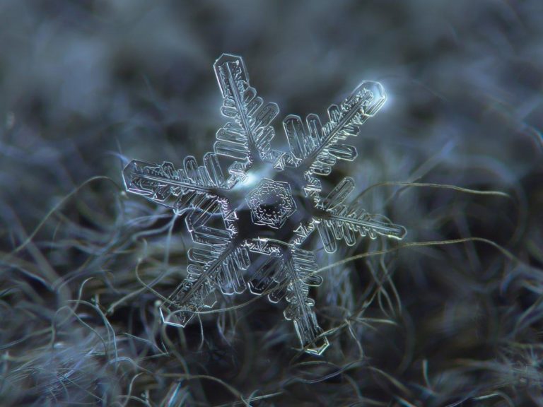 20 lindas fotos de flocos de neve feitas com equipamento improvisado