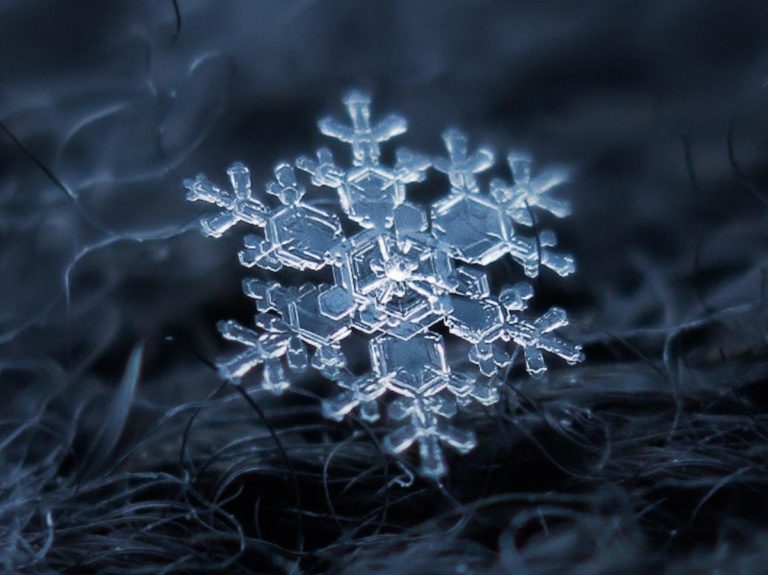 20 lindas fotos de flocos de neve feitas com equipamento improvisado