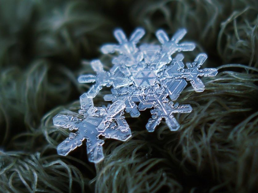 20 lindas fotos de flocos de neve feitas com equipamento improvisado
