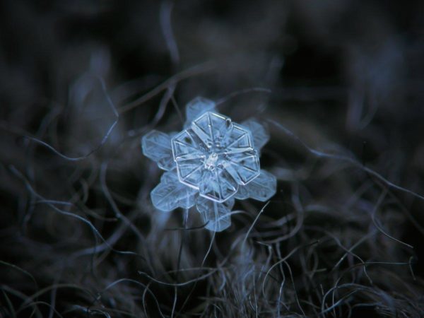 20 lindas fotos de flocos de neve feitas com equipamento improvisado